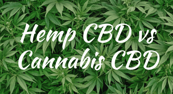 Hemp CBD vs Cannabis CBD: What is CBD Hemp Oil? | Healthy Hemp Oil