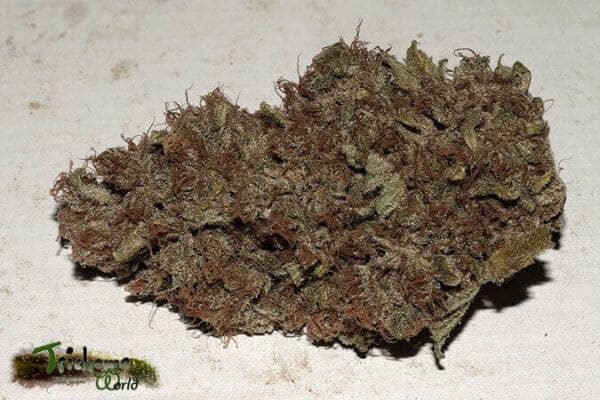 High CBD Strains | Goodbye to Pain (FOREVER) | Best Guide